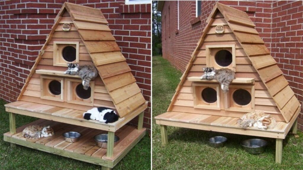 Cat House Building Plans - houseplans.weloveprintables.net
